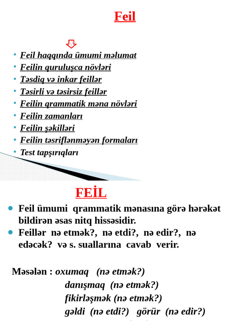 Feil, Azərbaycan Dili | PDF