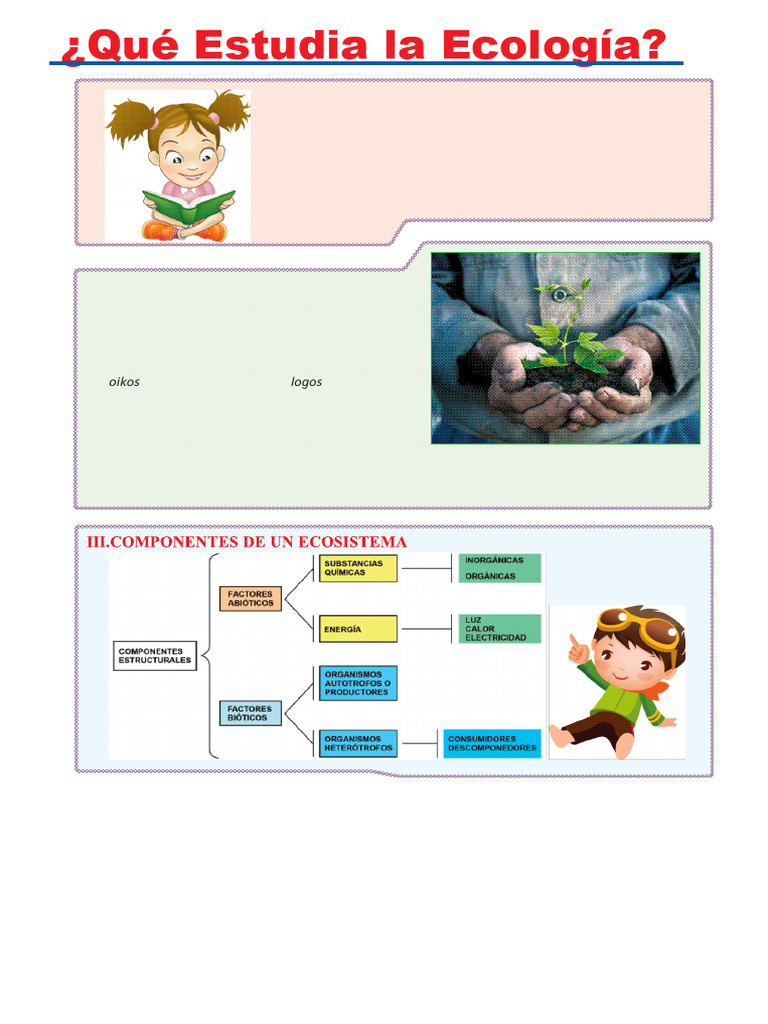 Ficha de trabajo 27-10-2022 1 A Y B | PDF | Ecología | Habitat