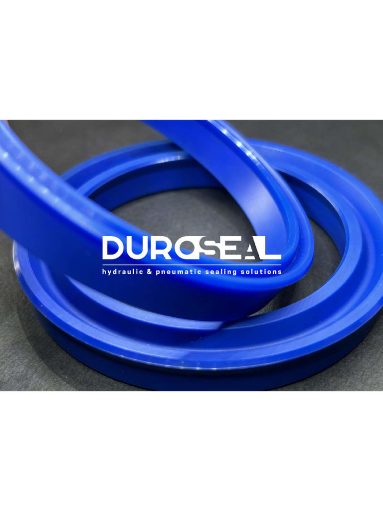 Duroseal Rod-piston Seal | PDF