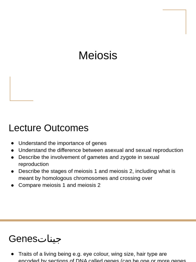 BIOL101 Ch10 Pt1 | PDF
