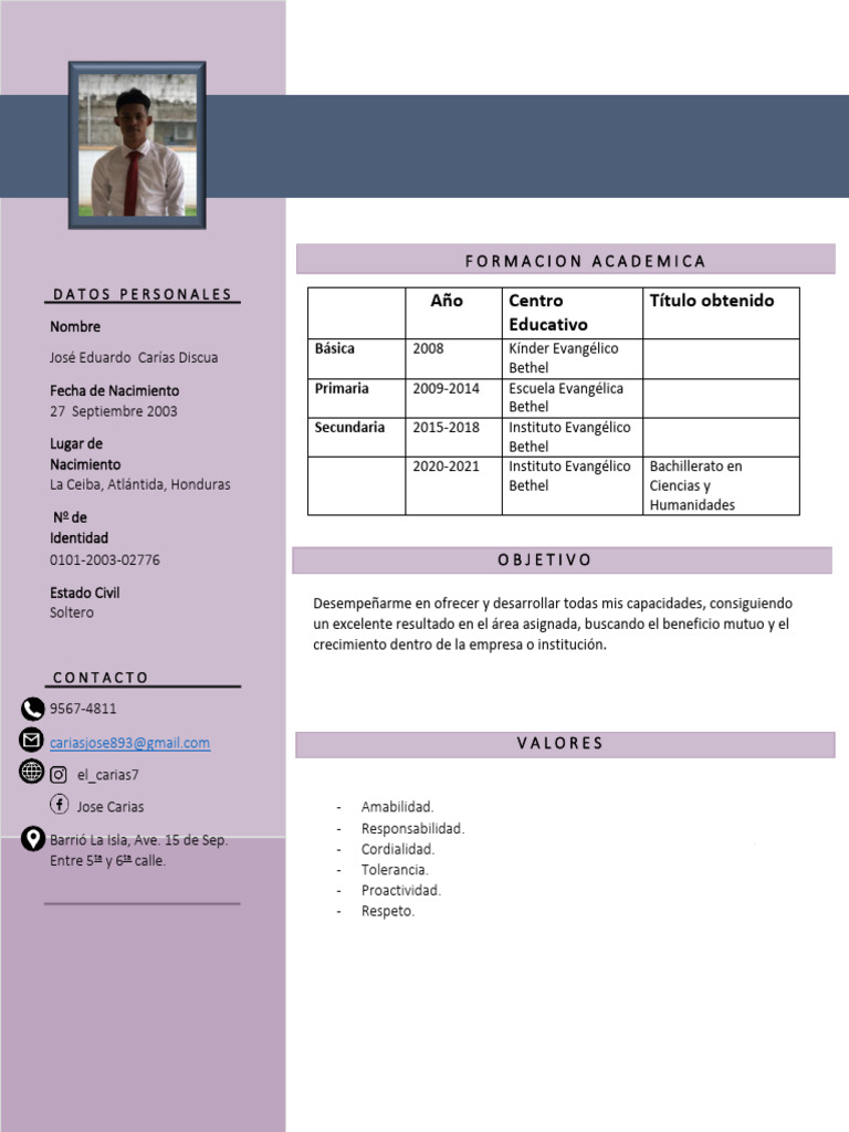 CV José Carías | PDF