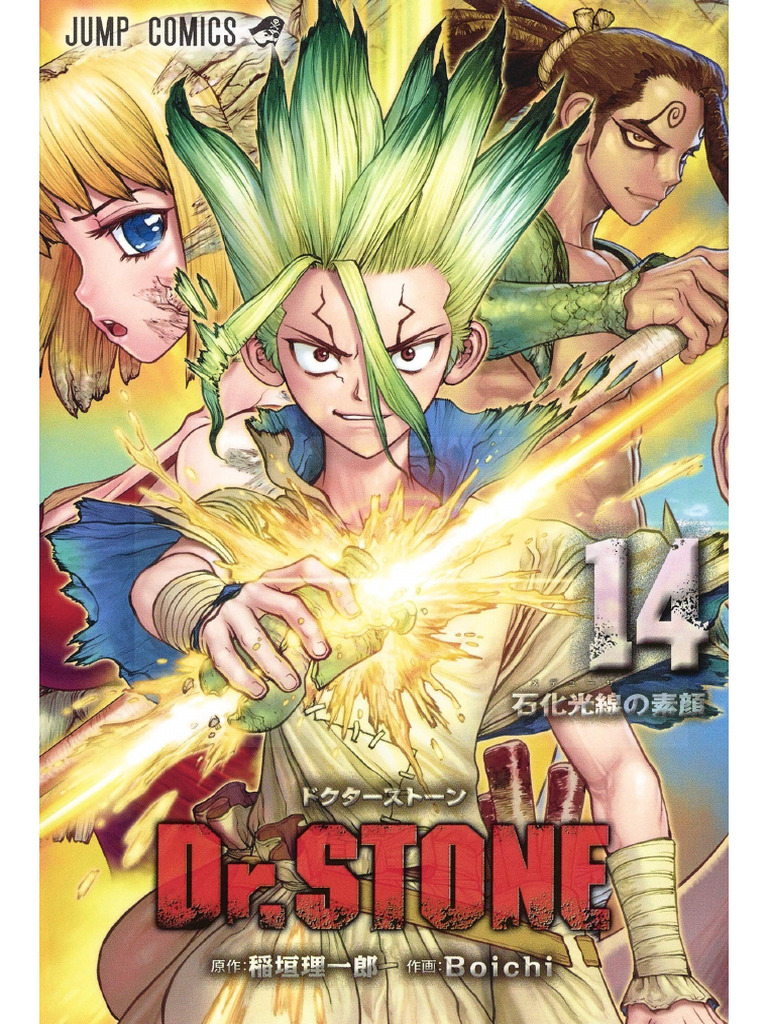 DR - Stone Vol.14 | PDF