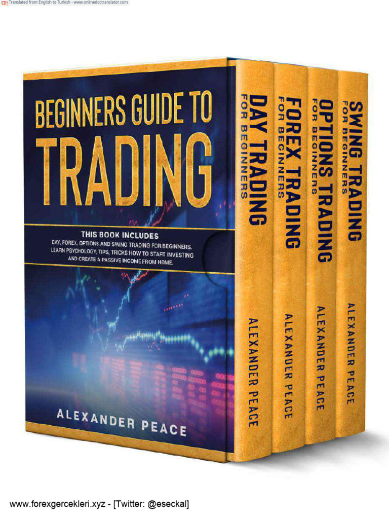 Begginners Guide To Trading | PDF