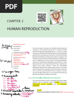 NCERT Highlight - Human Reproduction by Seep Pahuja | PDF | Menstrual ...