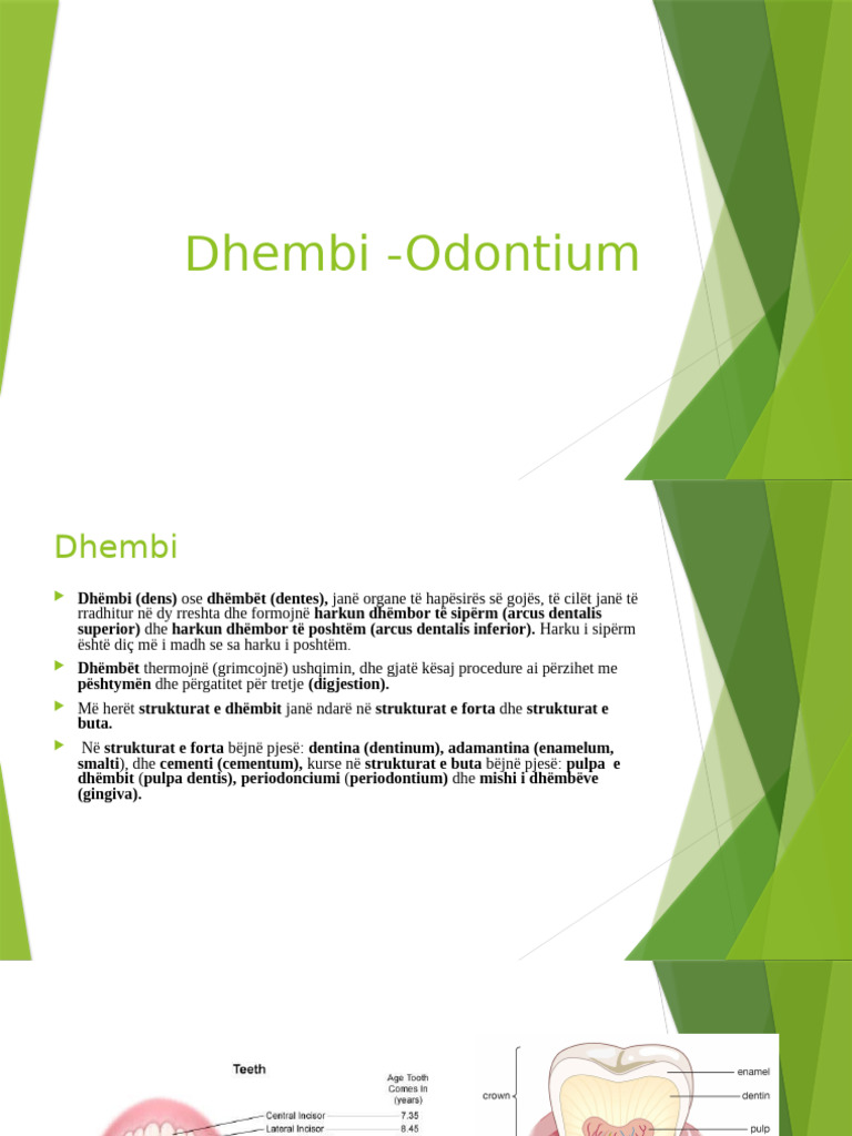 15.dhembi - Odontium | PDF