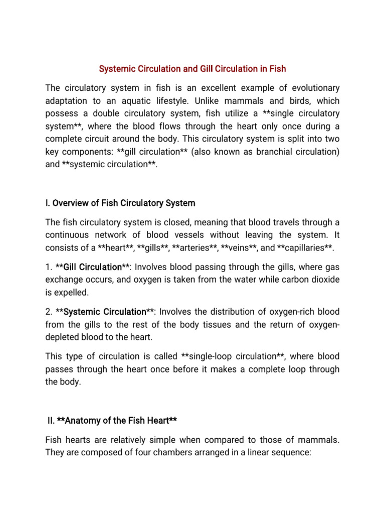 Mechanism of Circulation in Fish | PDF | Heart | Artery