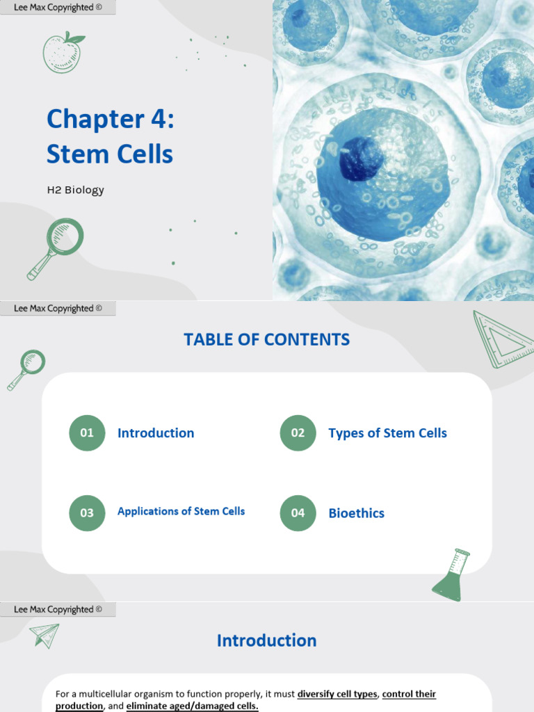 Understanding Stem Cells: Types & Applications | PDF | Cell Potency ...
