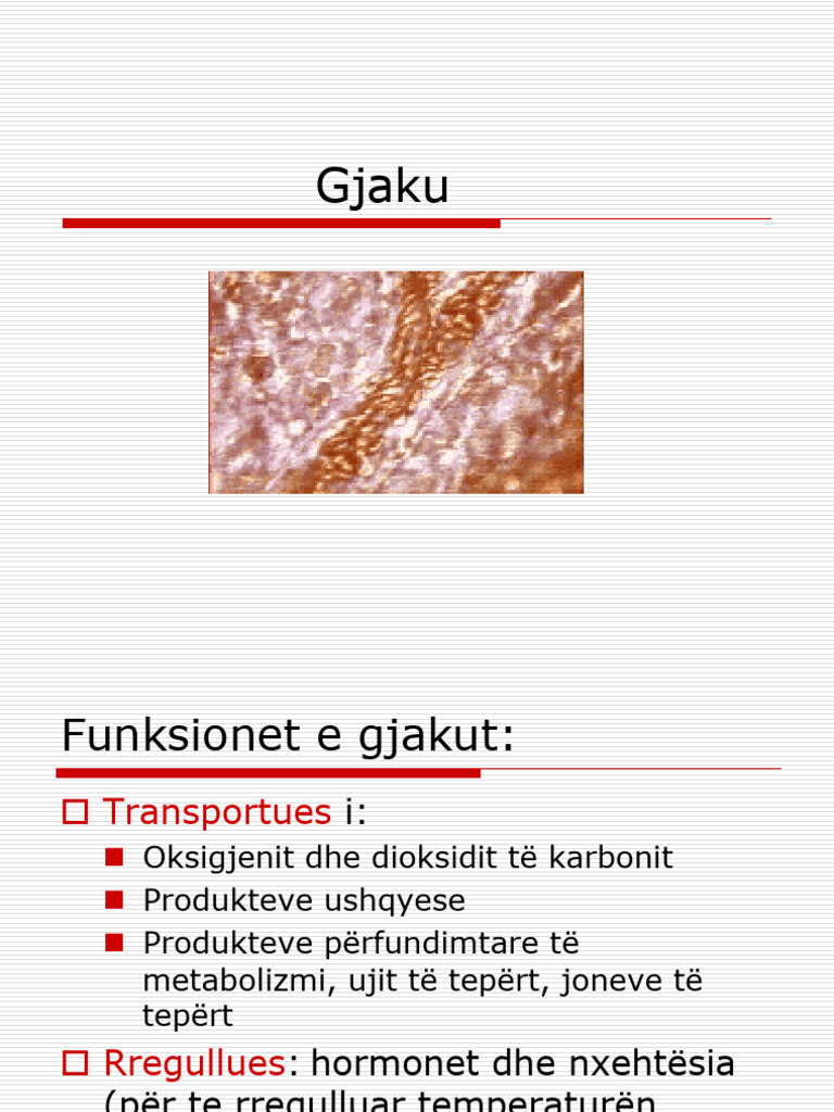 Gjaku | PDF