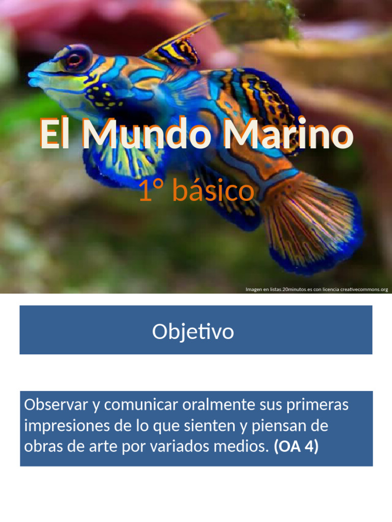Explorando el Mundo Marino | PDF