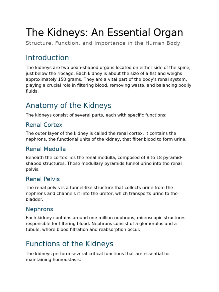 The Kidneys: An Essential Organ | PDF | Kidney | Chronic Kidney Disease