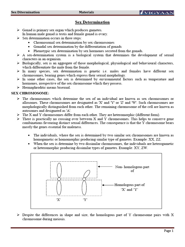 Sex Determination | PDF | Sex | Male