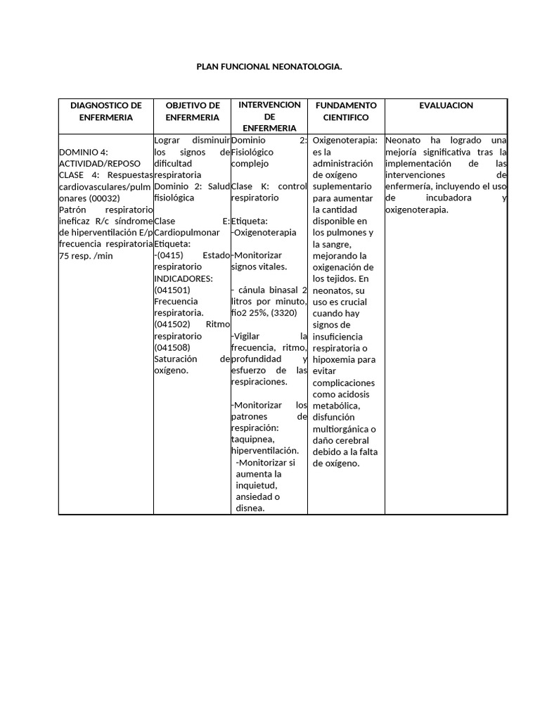 Plan Funcional Neonatologia | PDF | Sistema respiratorio | Medicina CLINICA
