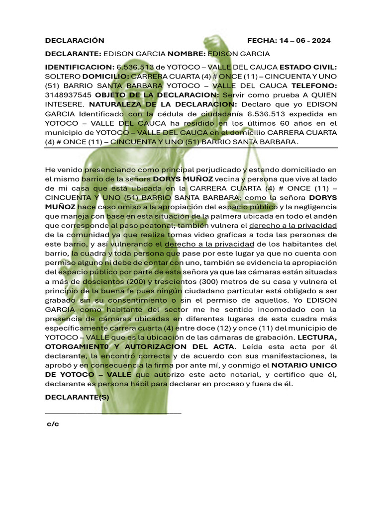 DECLARACIONES A PERSONA NATURAL | PDF