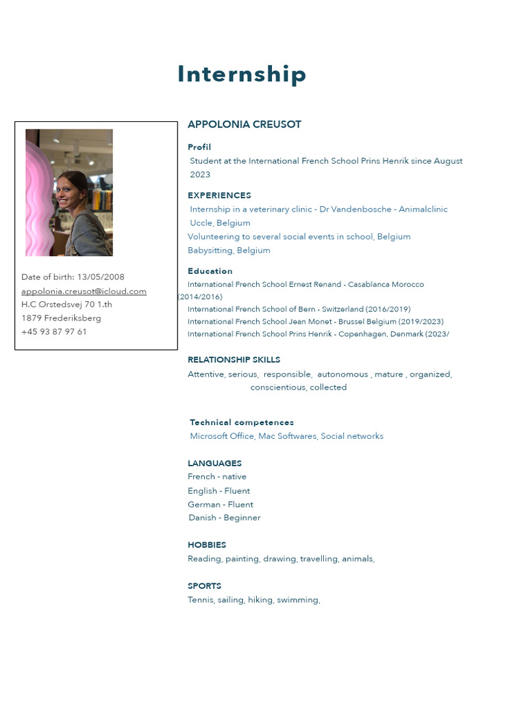 CV Internship | PDF