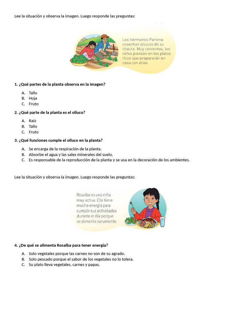 Evaluacion de Salida Corregida 2 | PDF | Alimentos | Plantas