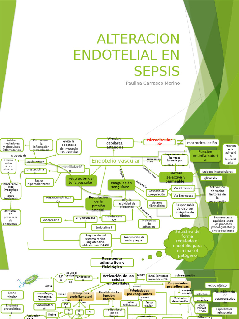 Sepsis Pauli | PDF | Inflamación | Coagulación