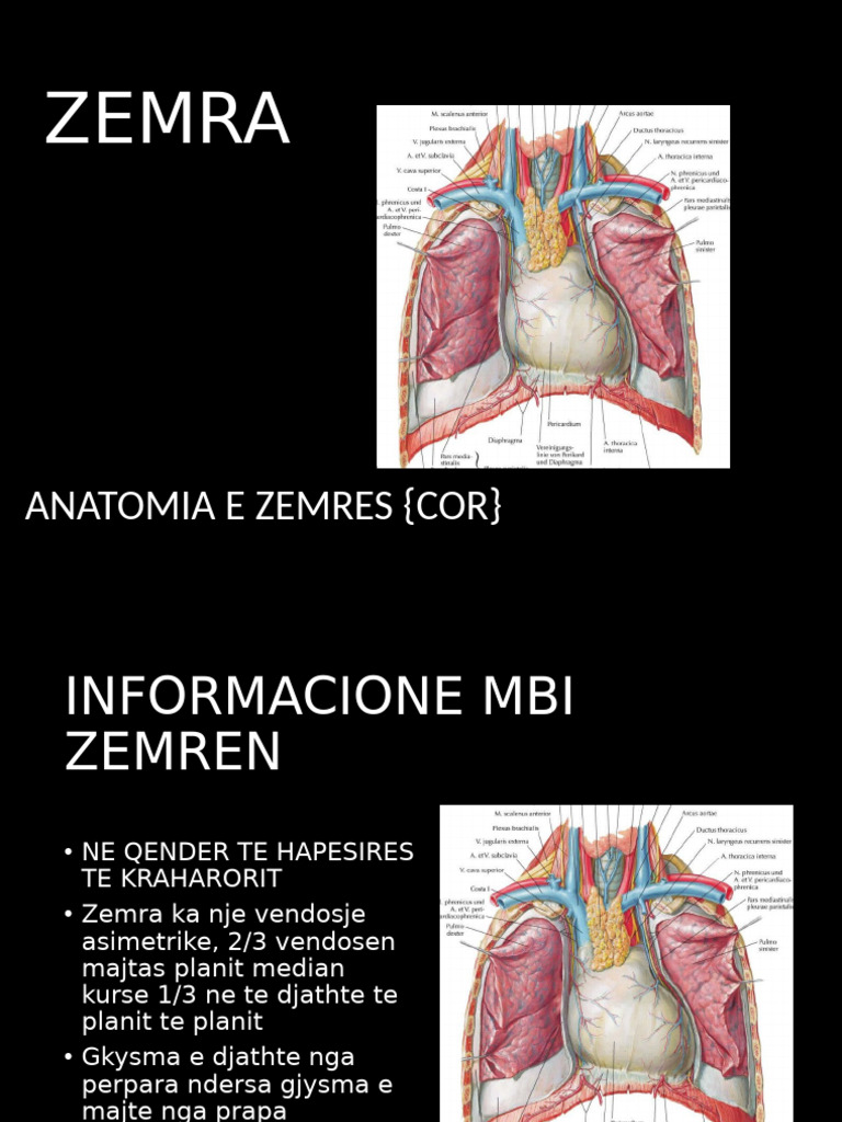 ZEMRA | PDF