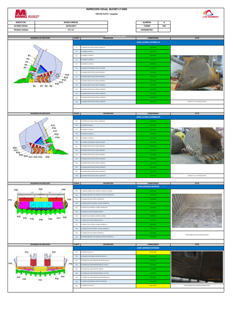 LD001 Inspeccion Visual LT2350 | PDF | Carcinogénesis