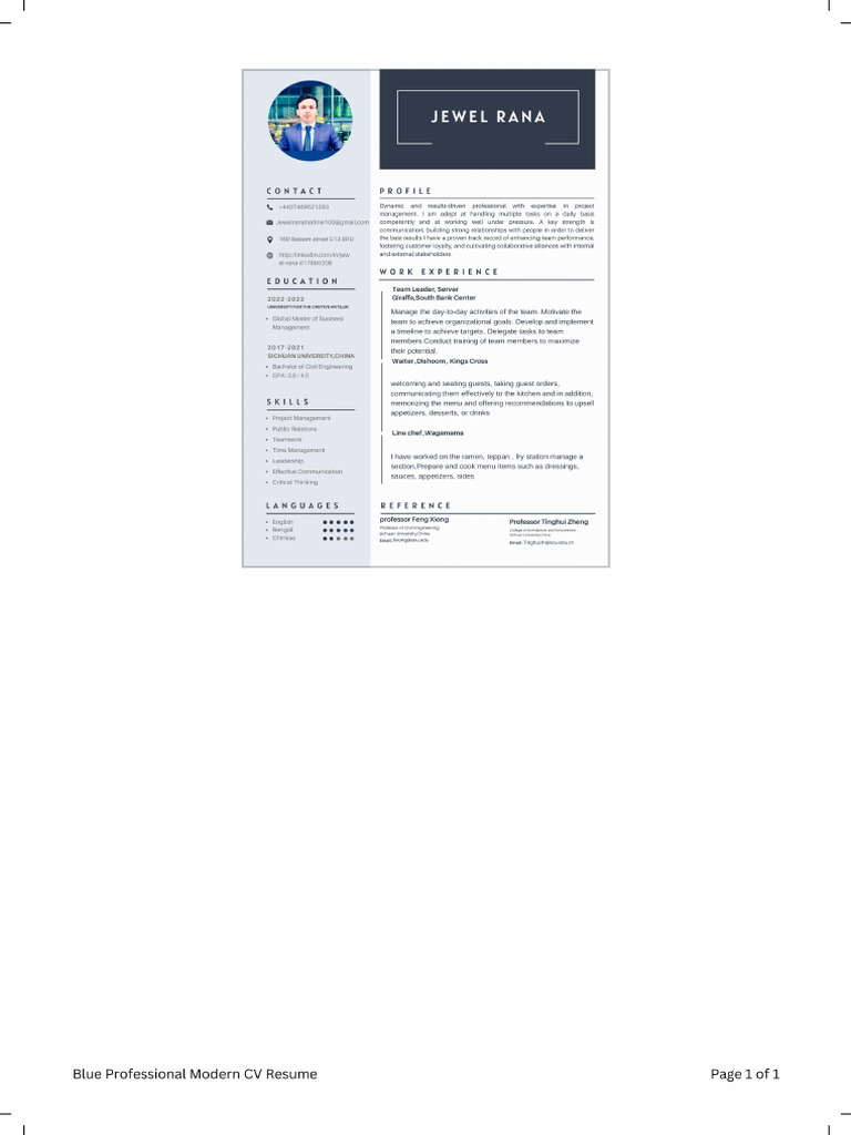 Blue Professional Modern CV Resume | PDF