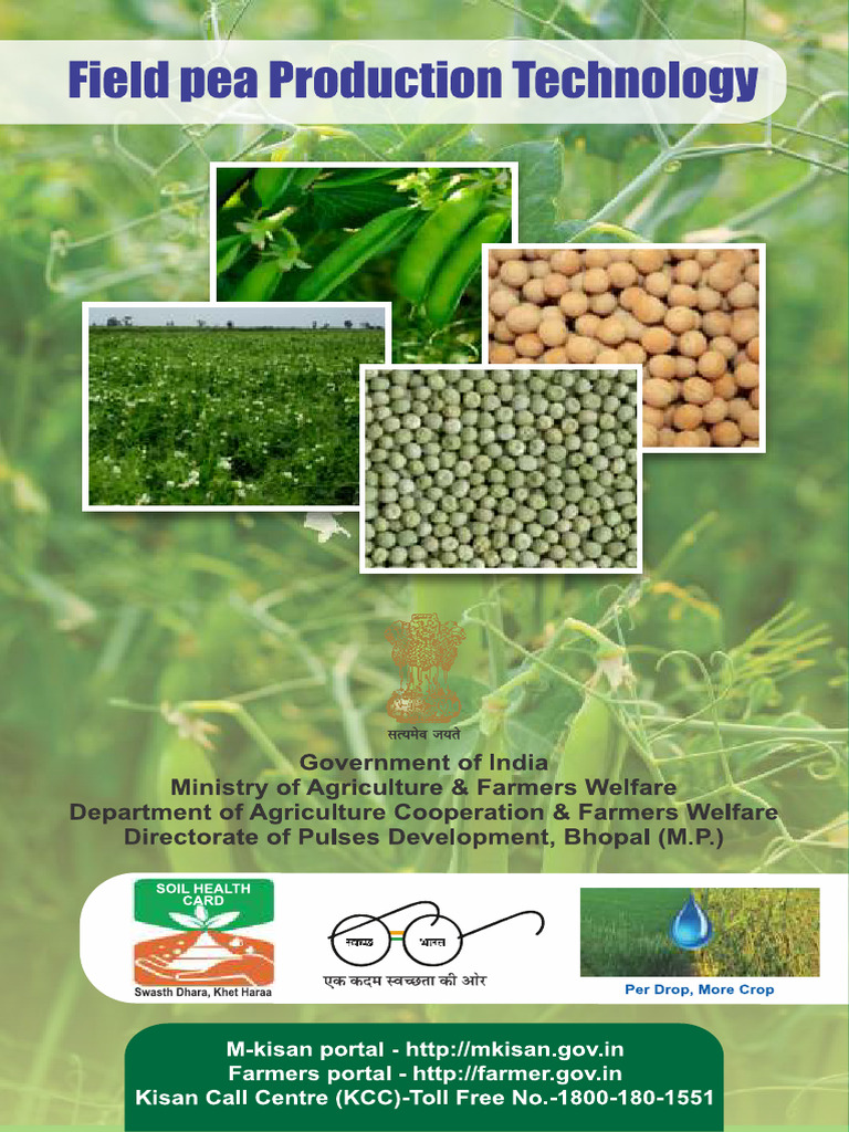 09 PEA India | PDF