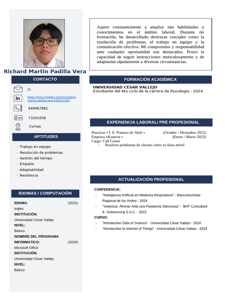 Modelo CV 2022 | PDF | Informática