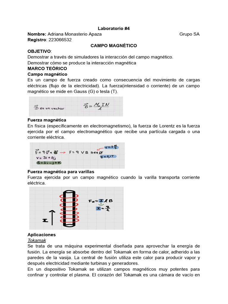 Aplicaciones del Campo Magnético | PDF | Tokamak | Campo magnético