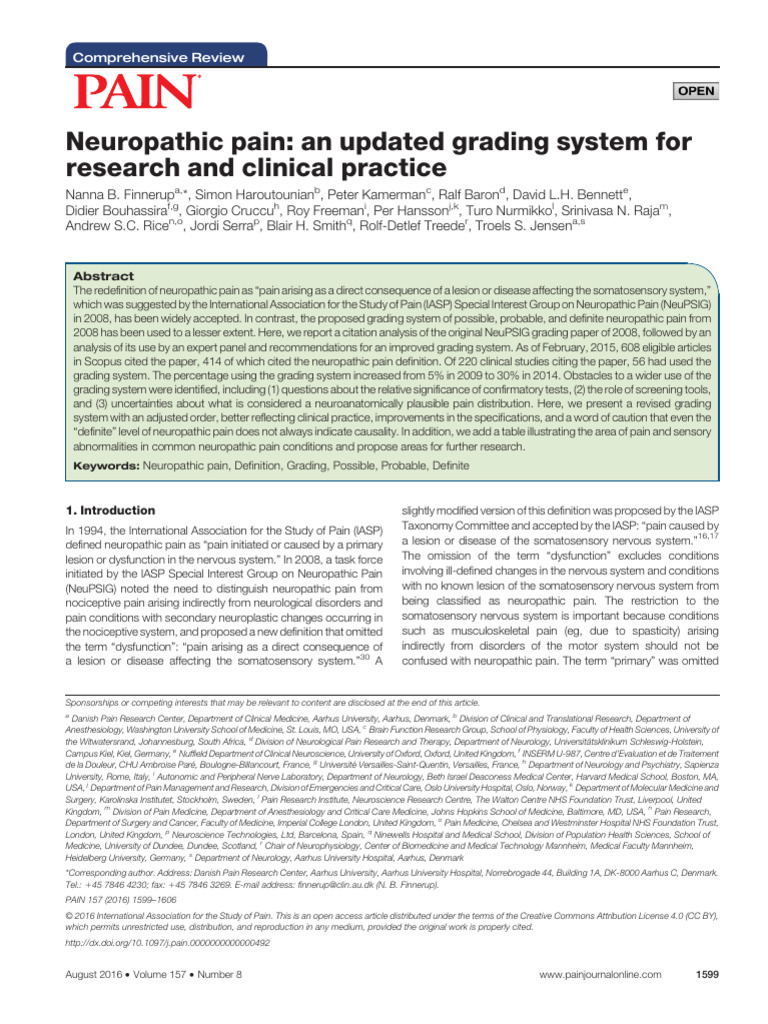 Neuropathic Pain An Updated Grading System For.7 | PDF | Peripheral ...
