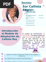 Callista Roy | PDF | Enfermería | Teoría