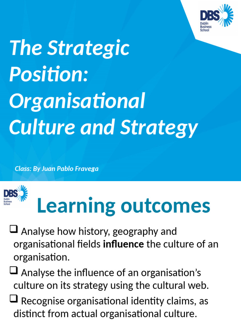 Organisational Culture and Strategy BS | PDF | Organizational Culture | Psychology