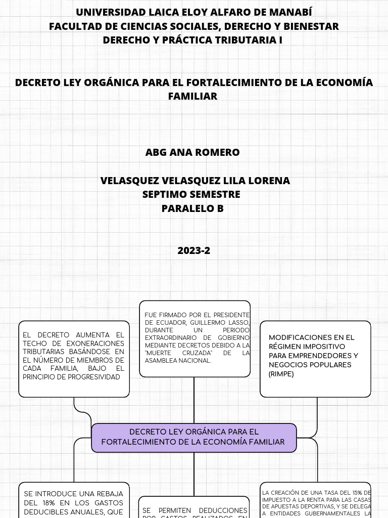 Mapa Conceptual Decreto | PDF | Ecuador | Gobierno