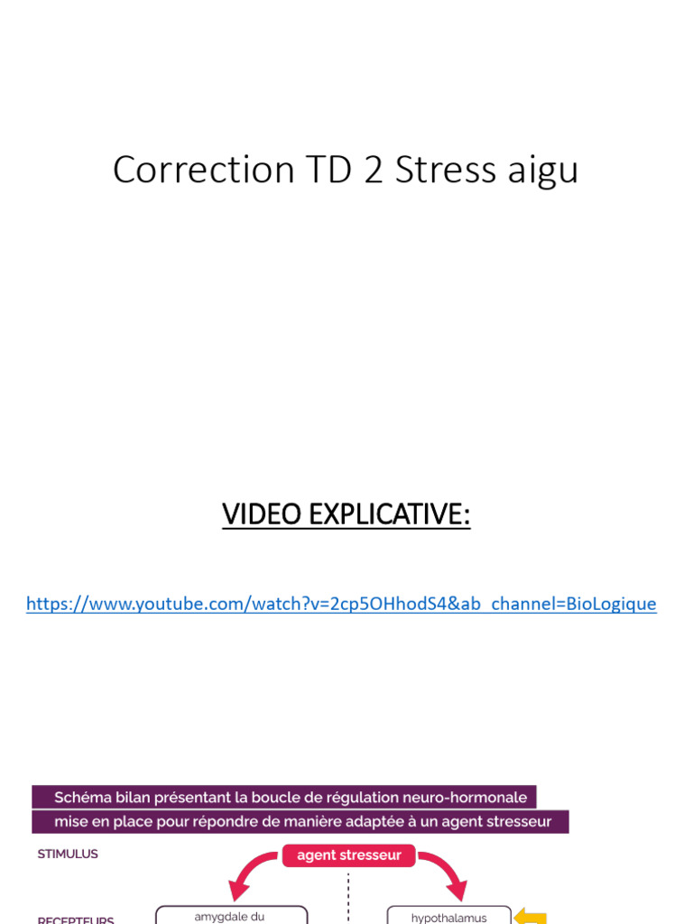 Correction TD 2 Stress Aigu | PDF | Science & Mathematics