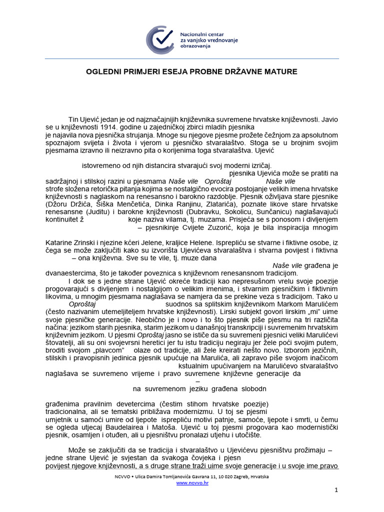 Probni Ispit Primjeri | PDF