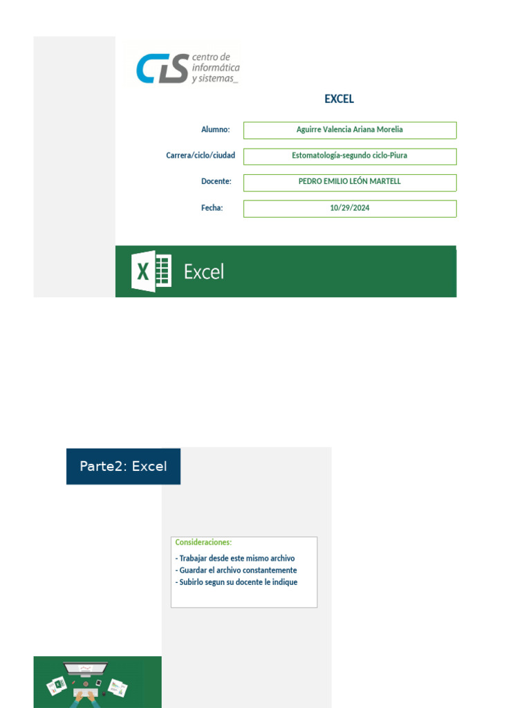 Informe de Excel: Análisis de Datos 2024 | PDF