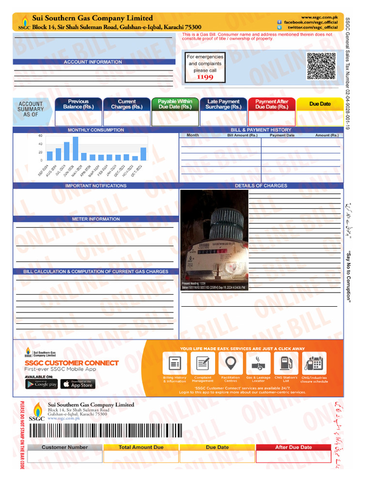 Gasbill 6505051000 202409 20241003171021 | PDF | Economies | Payments
