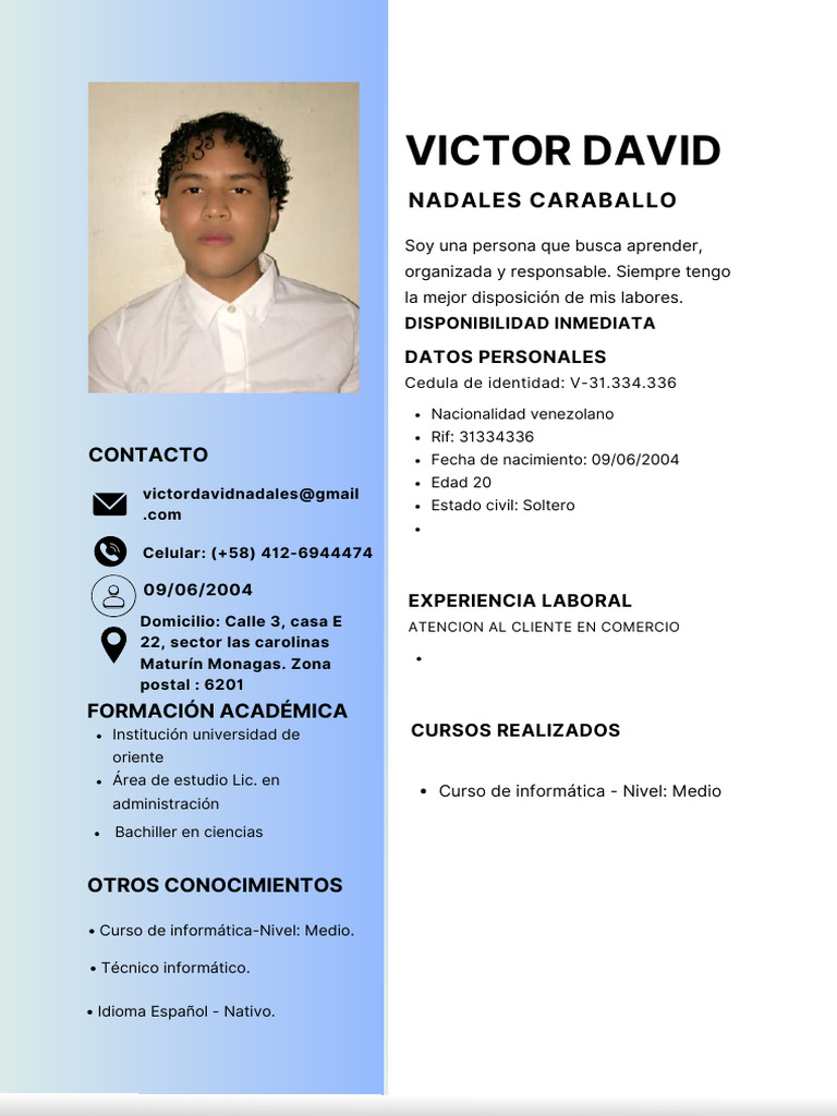 Currículum de Víctor | PDF