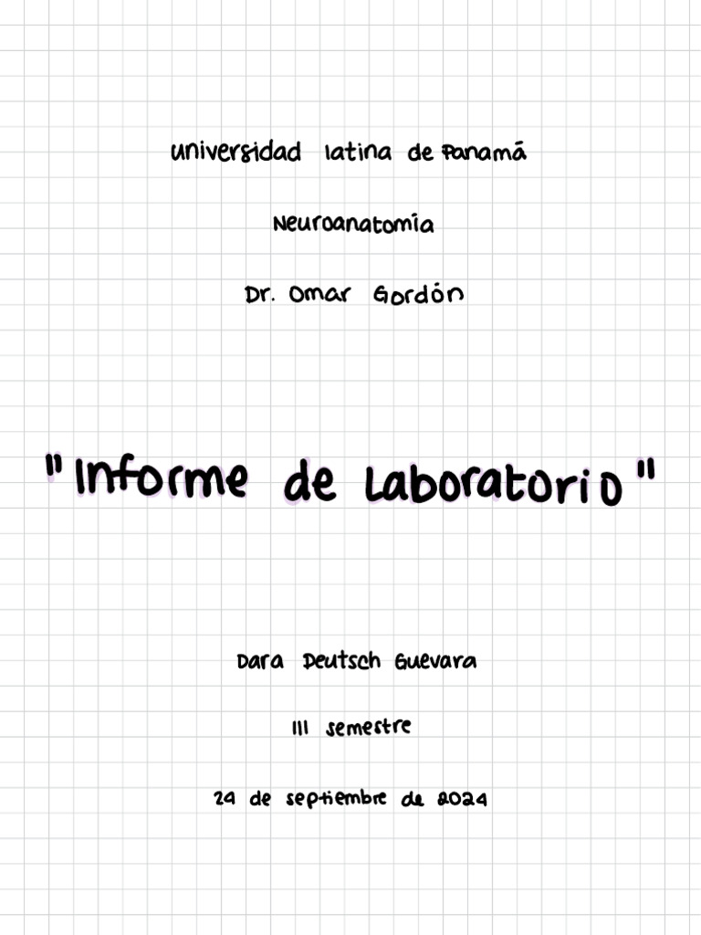 Informe Lab Neuroanatomía | PDF | Cerebelo | Cráneo