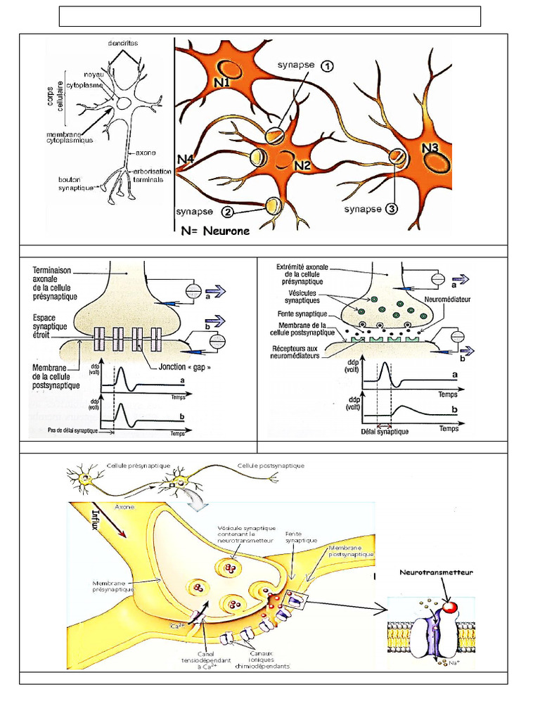 Planche l7 PDF | PDF | Teaching Methods & Materials