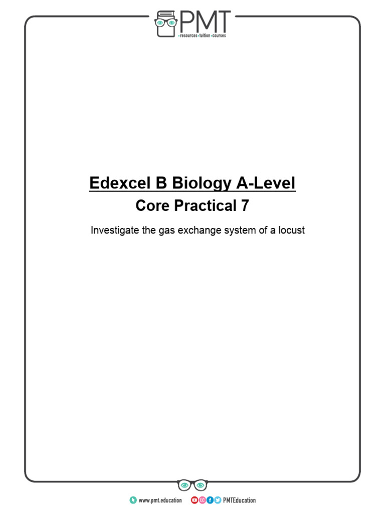 CP 07 - Gas Exchange System - Locust | PDF