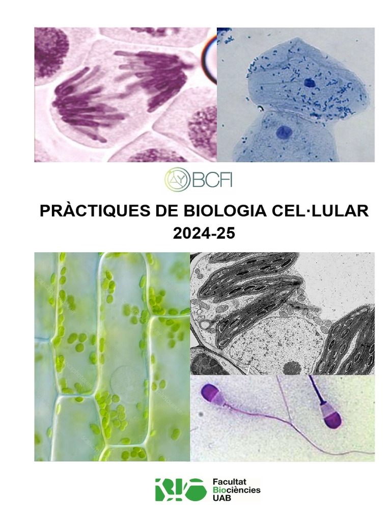 Pràctiques Biocel | PDF