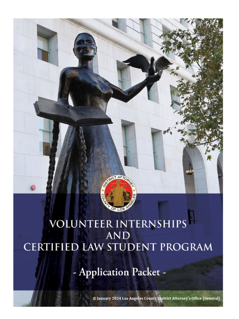 Volunteer Application Packet January 2024 1 | PDF | Background Check ...