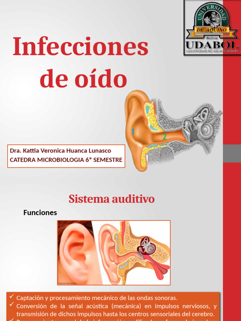 Infecciones de Oido | PDF | Oído | Infección