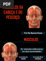 Músculos Do Crânio | PDF | Morfologia (Biologia) | Rosto