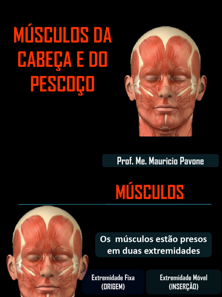 Músculos Da Cabeça e Pescoço | PDF | Rosto | Anatomia humana
