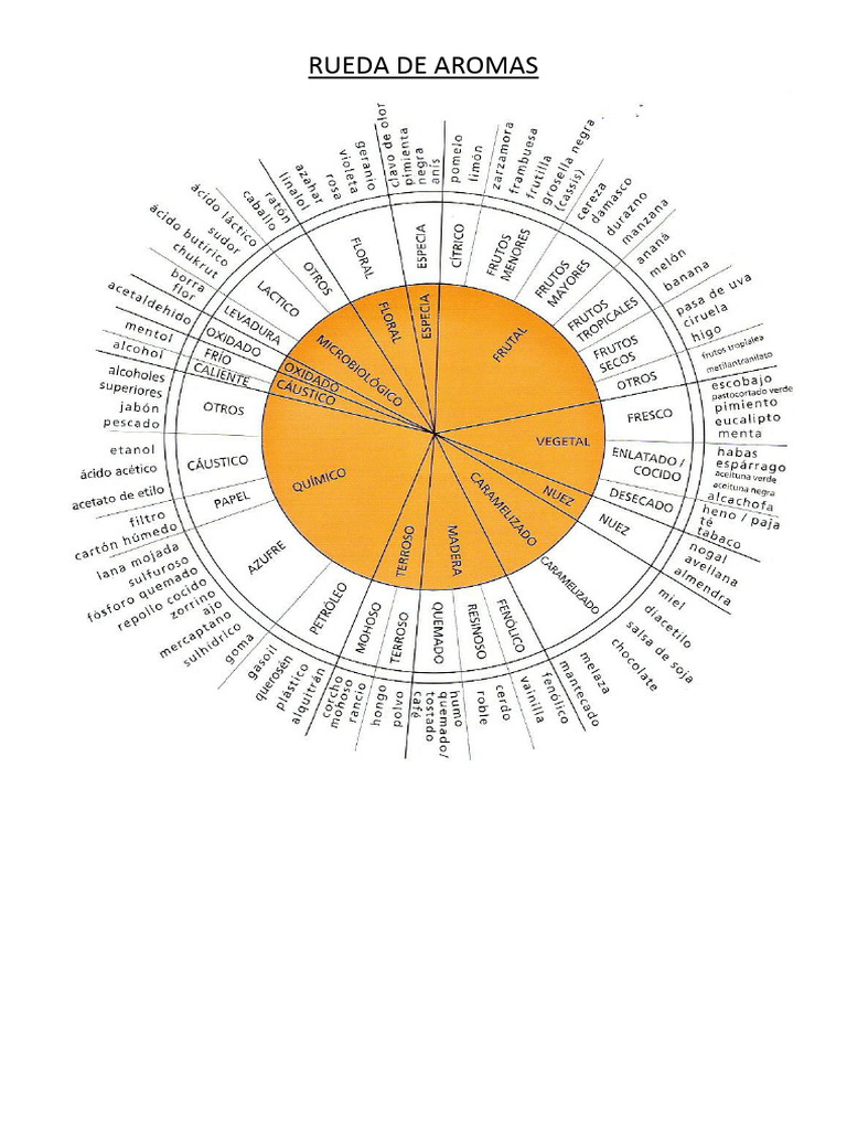 Rueda de Aromas y Sabores | PDF