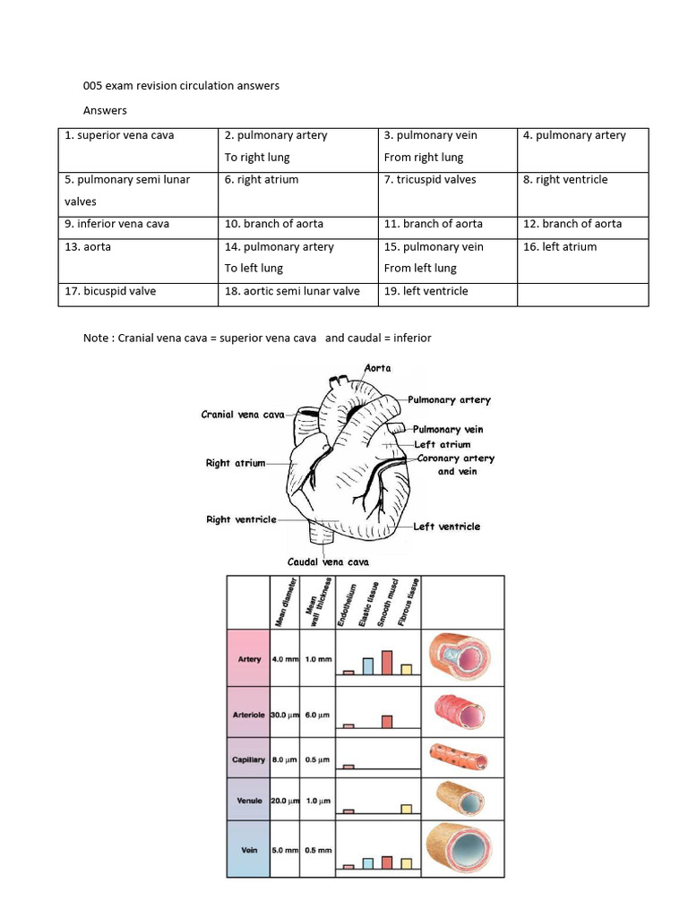 005 R3 Answers Circulation | PDF