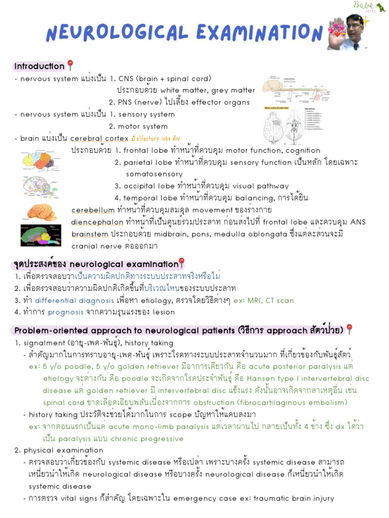 1 Neurological Examination | PDF