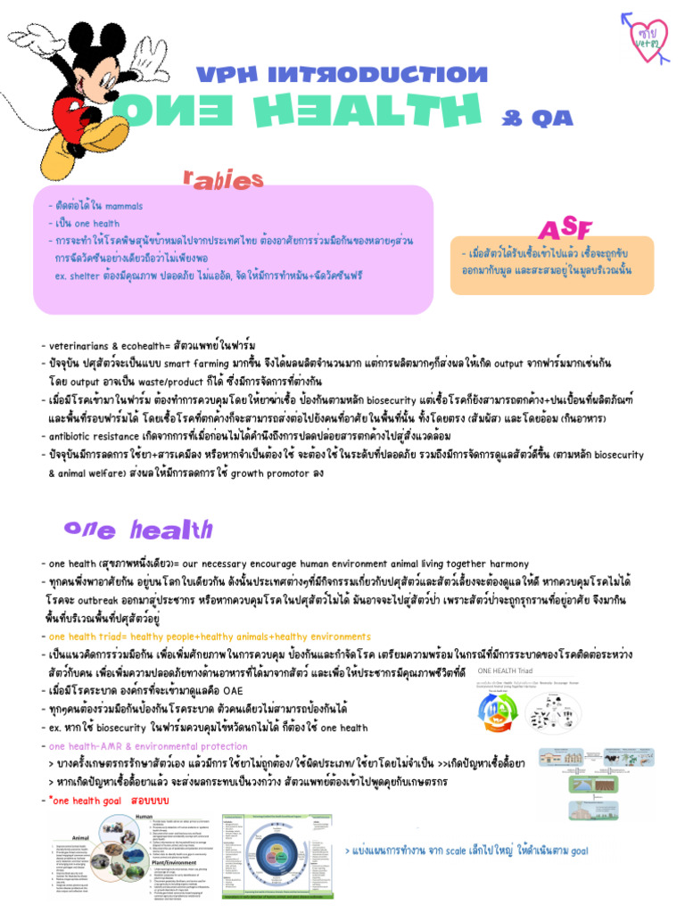 1 VPH Introduction | PDF