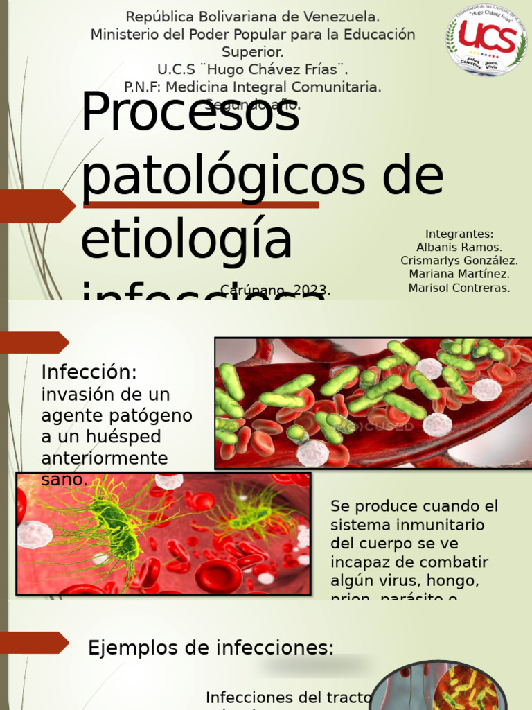 Procesos Patológicos Infecciosos en Medicina | PDF | Infección | Las ...