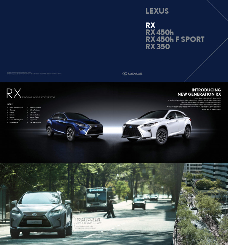 RX Brochure | PDF
