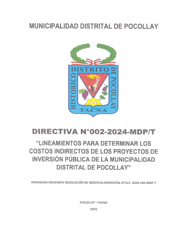 4776 Directiva n002 2024 MDPT 424353e7db02ad6e | PDF